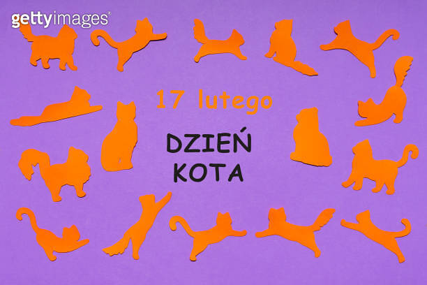 Happy Cat Day in Poland. Orange funny cat silhouettes on lilac pastel ...