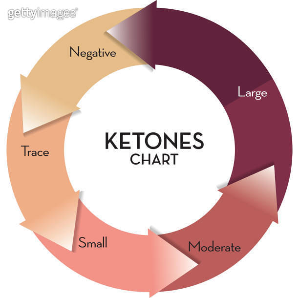 Ketogenic Reading Infographic Chart showing color coding for ketone ...