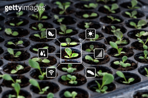 Smart Farming Agribusiness And Technology Farmer Use Data Augmented Scanning Track Application