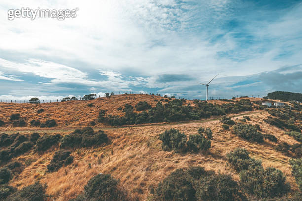 Landscape of Makara Beach in Wellington, New Zealand 이미지 (1208236638 ...