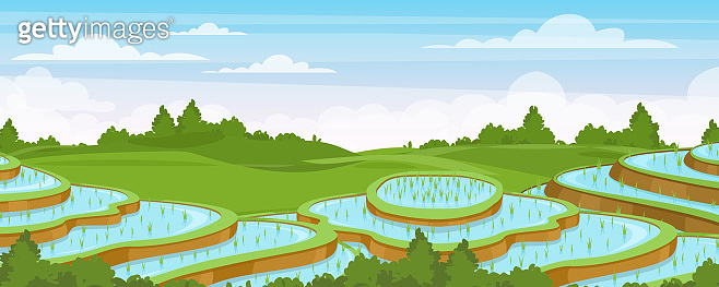 Rice field landscape vector illustration, cartoon flat rural farmland ...