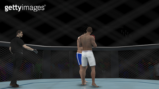 Mixed martial arts cage fighint match view from the behind of the cage ...
