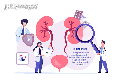 Doctors Nephrologists Scientist Examine,Diagnosing Kidney, Renal ...