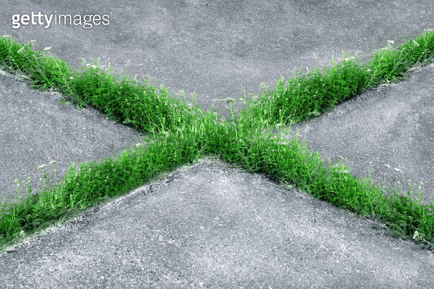 Grass grows through the asphalt canvas in the form of a cross. 이미지 ...