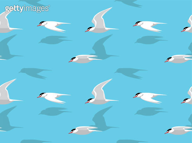 Tern Flying Cute Cartoon Vector Seamless Background Wallpaper-01 ...