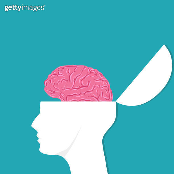 The brain in the human head. Open the head of a person with a brain 이미지 ...