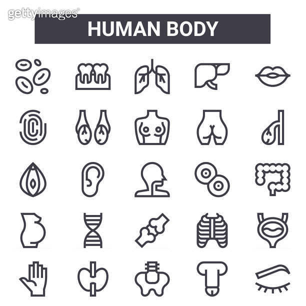 human body outline icon set. includes thin line icons such as blood ...