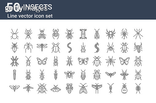 set of 50 insects icons. outline thin line icons such as centipede, bug ...