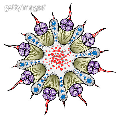 Novel coronavirus COVID-19 art drawing. Pathogenic organism with DNA or ...