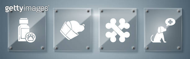 Set Veterinary clinic symbol, Crossed bones, Veterinary clinic symbol ...