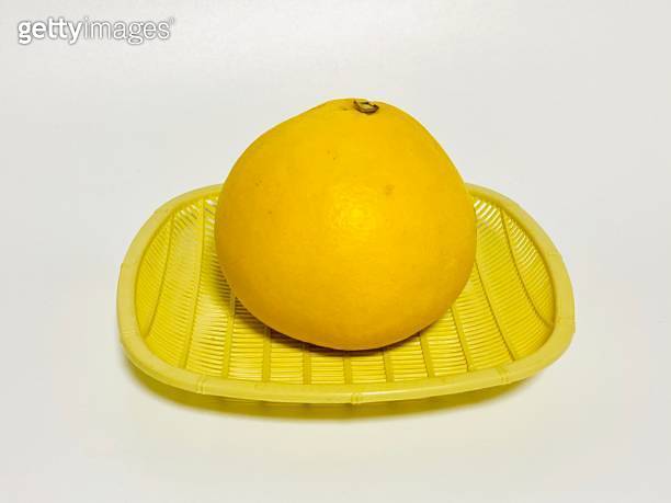 It is a citrus called Bundan in Japanese. 이미지 (1208812933) - 게티이미지뱅크