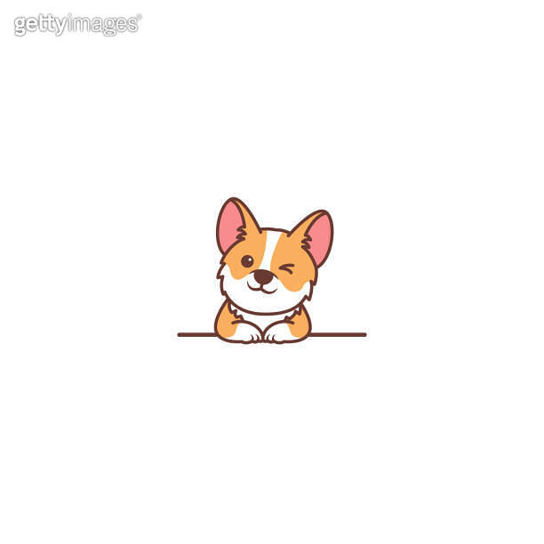 Cute corgi dog winking eye over wall cartoon, vector illustration ...
