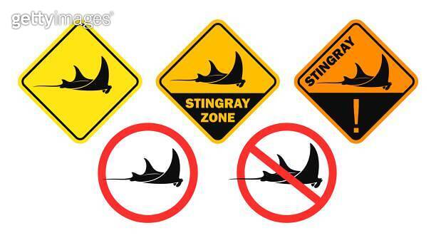 Stingray danger sign. Isolated stingray on white background. Manta 이미지 ...