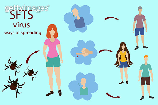 SFTS virus and humanity. Transmission of the SFTS virus from a person ...