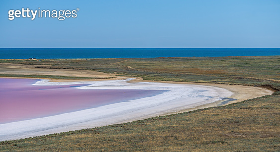 Brine and salt of a pink lake Koyash colored by microalgae Dunaliella ...