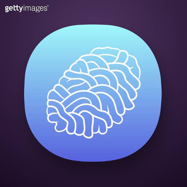 Ground meat app icon. Butchers product. Ingredient for meatballs. Meat ...