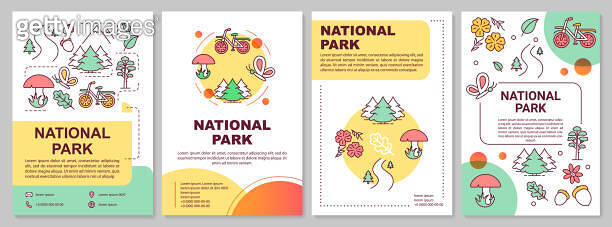 National park brochure template layout. Forest reserve. Flyer, booklet ...
