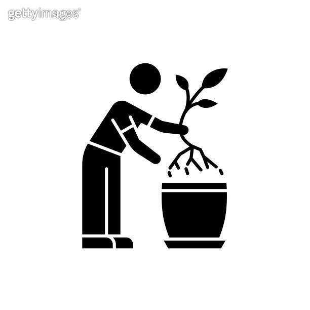 Replanting black glyph icon. Transplanting, repotting. Plant growing ...