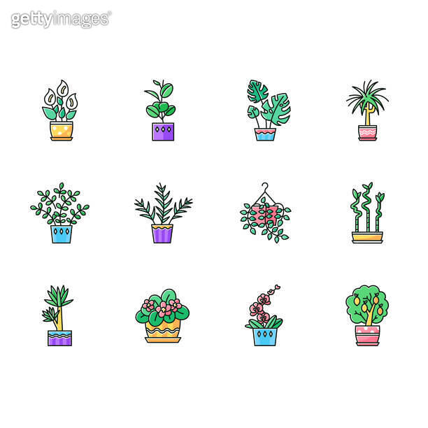 Houseplants RGB color icons set. Decorative indoor plants. Natural home ...