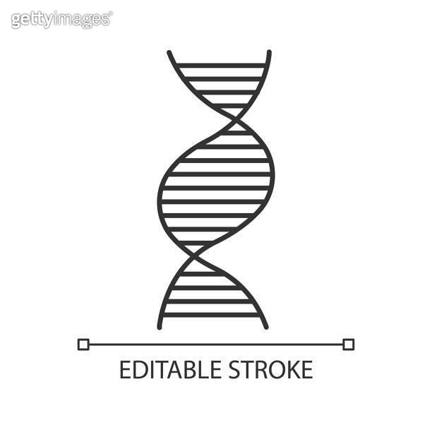 Right-handed DNA helix linear icon. B-DNA. Deoxyribonucleic, nucleic ...