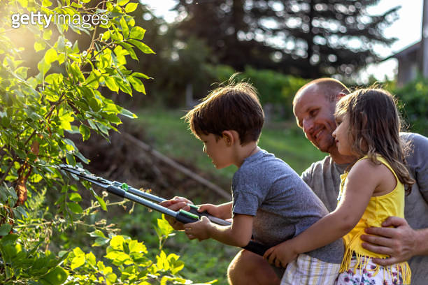 Father with beautiful kids pruning tree with big clippers. 이미지 ...