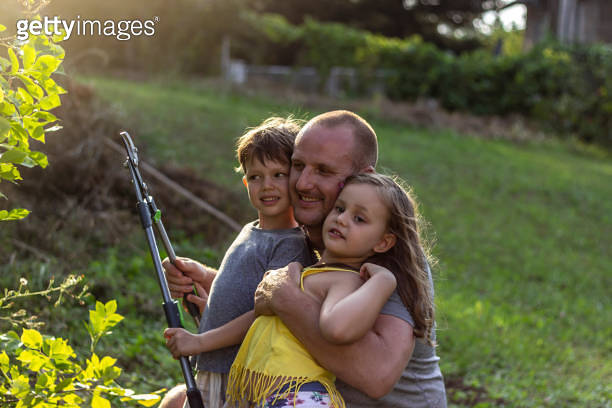 A young single father teaching son and daughter how to prune a bush in ...