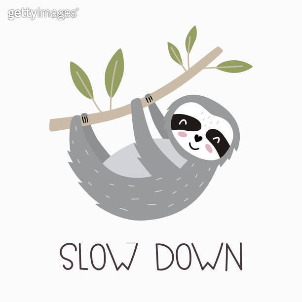 Cute sloth hanging on a tree branch and lettering- Slow down. Cartoon ...