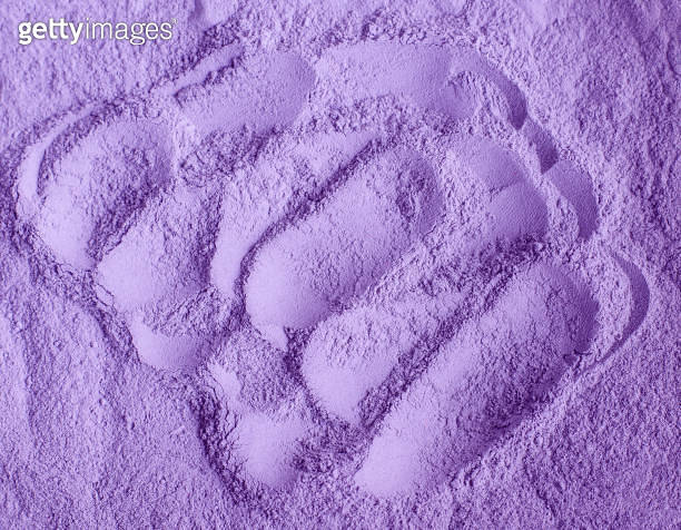Purple powder (alginate face mask, body wrap, hair conditioner) texture ...