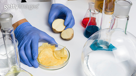 Workplace lab assistant top view. Food safety laboratory procedure ...