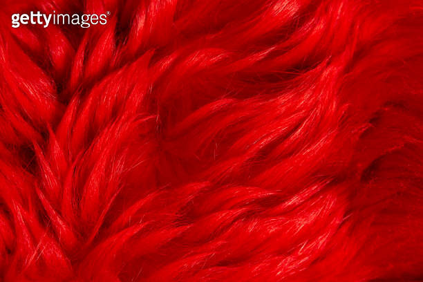 Wavy fluffy red dyed fur 이미지 (1222584817) - 게티이미지뱅크