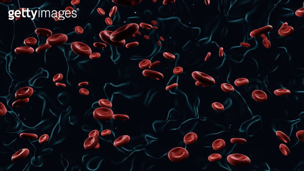 red blood cells floats dark background cgi render 3d 이미지 (1216419771 ...