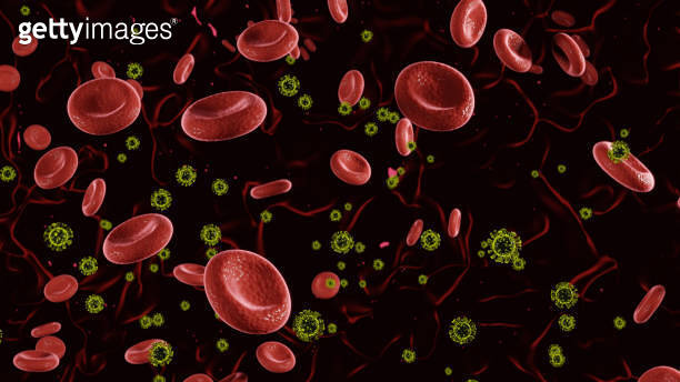 red blood cells and corona covid virus floats in the vein cgi 3d render ...