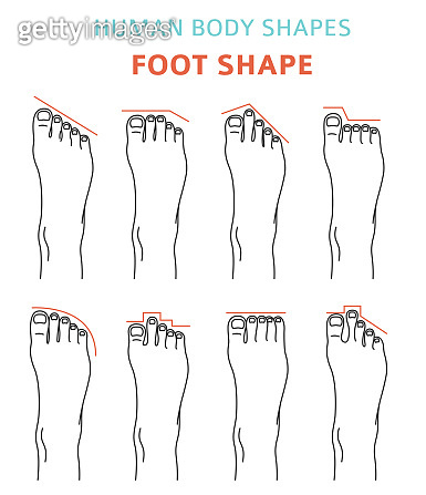 Human body shapes.Feet types icon set (1225048606) - 게티이미지뱅크