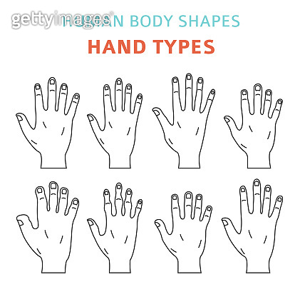 Human body shapes. Hand types icon set (1225048659) - 게티이미지뱅크