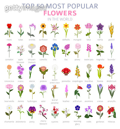 Your garden guide. Top 50 most popular flowers infographic (1256151123 ...