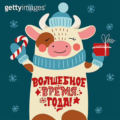 A magical time of the year. Phrase in Russian. Bull in a hat with a ...