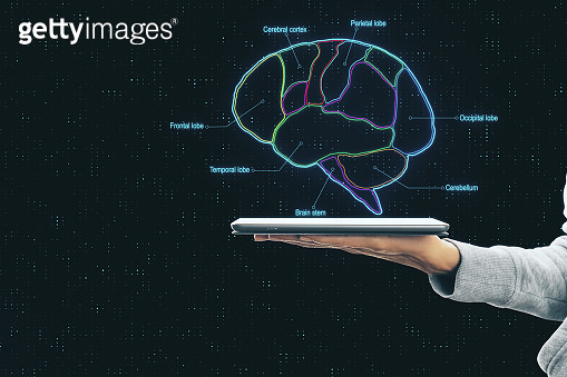 Smart brain concept with brain parts scheme and human hand with digital ...