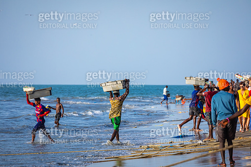 Africa fishing industry. People carrying fish from the boats to the ...