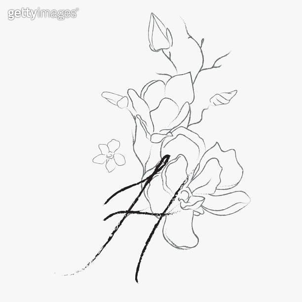 Handwritten Floral Line Drawing Monogram H 이미지 (1203180288) - 게티이미지뱅크
