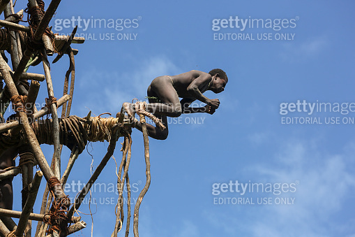 Traditional land diving ritual (Nangol) with vines tied to their feet ...