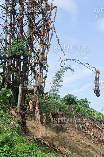 Traditional land diving ritual (Nangol) with vines tied to their feet ...
