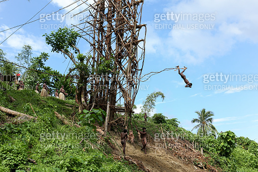 Traditional land diving ritual (Nangol) with vines tied to their feet ...