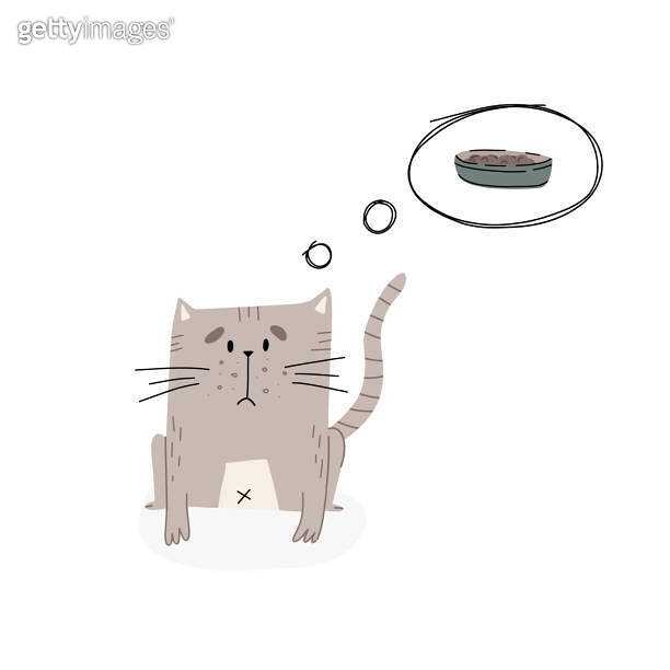 Sad cat starving, it sitting and thinking about pet bowl full of food ...