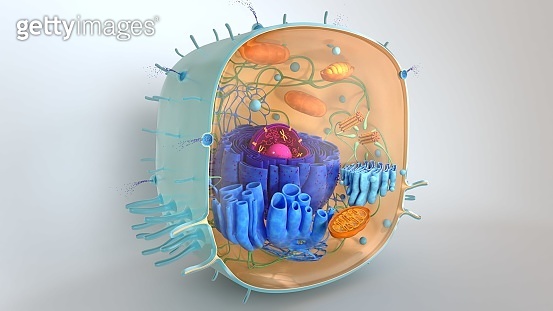 3d render of body cells. 3d illustration cell model. 이미지 (1224858360 ...