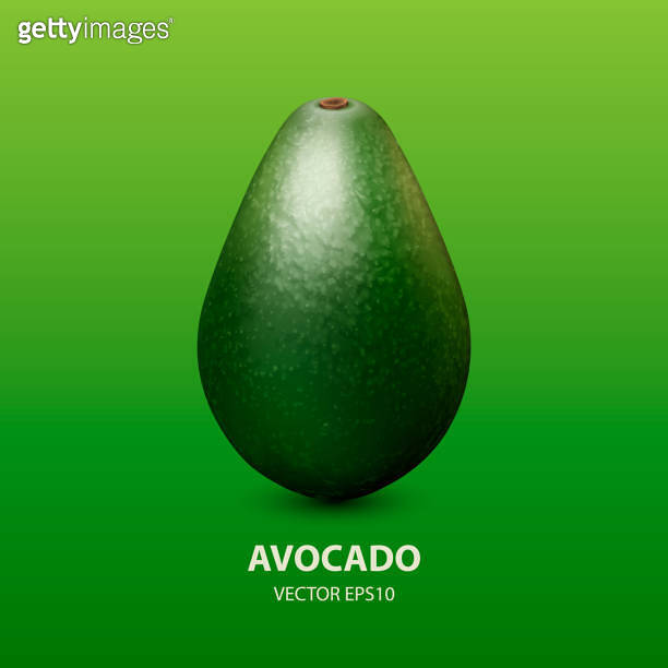 Vector 3d Realistic Whole Avocado Closeup Isolated on Green Background ...