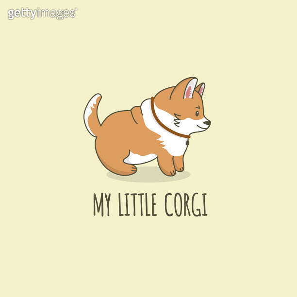 Little cute corgi dog is standing, profile view. My little corgi text ...