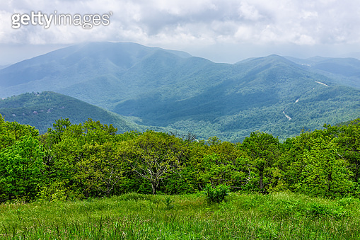 Devil's Knob Overlook green grass field meadow at Wintergreen resort ...