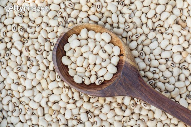 COMMON PULSES - WHITE LOBHIA, BLACK-EYED BEANS OR COWPEA OUTDOOR ...