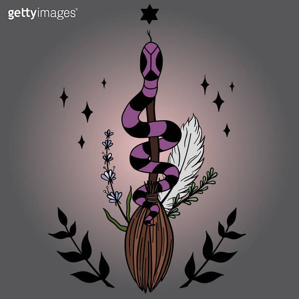 Colorful vector illustration with a broom and a witch's snake. Perfect ...