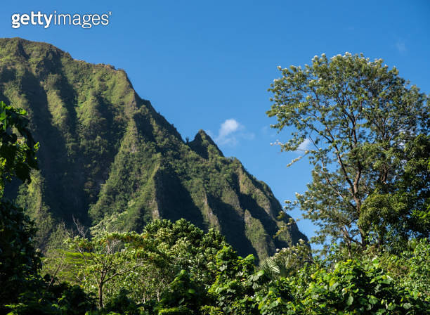 Mountain ridge rises above Hoomaluhia Botantical Gardens on Oahu 이미지 ...